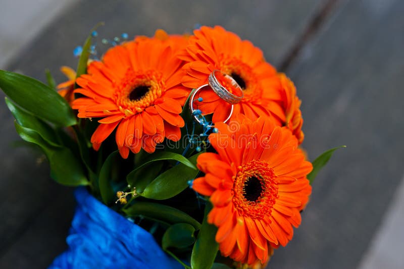 Germini Bouquet Stock Photos - Free & Royalty-Free Stock Photos from ...