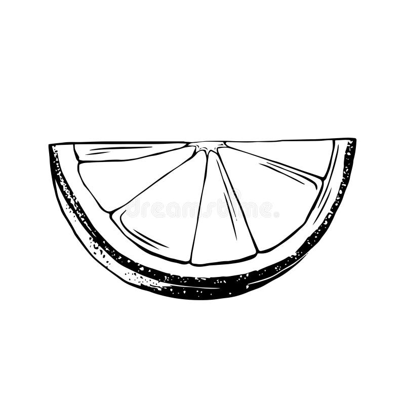 Orange Wedge Sketch, Slice, Vector Line Drawing, Simple Black and White ...