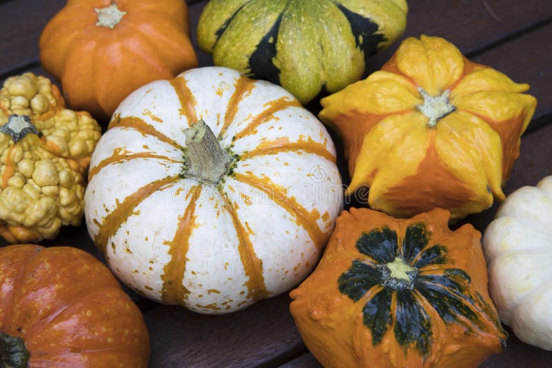 Autumn Gourd Variety Abstract Stock Image - Image of backgrounds, food ...