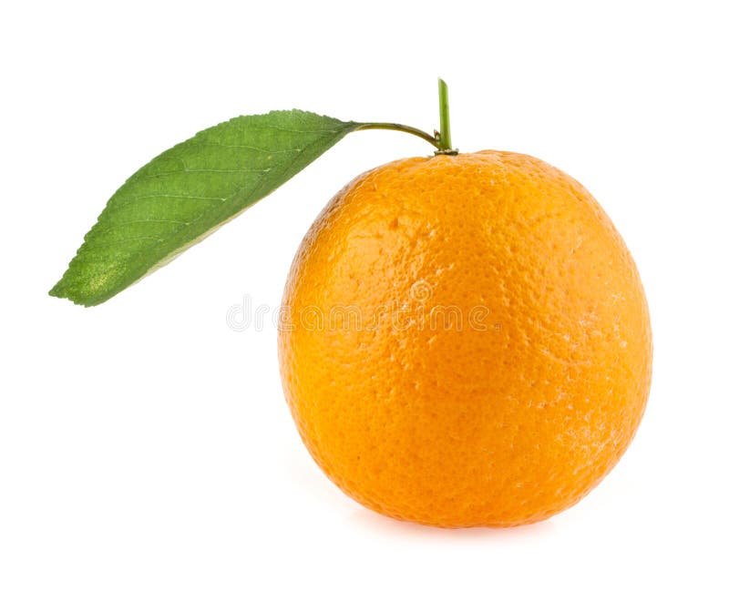 Orange stock image. Image of objects, isolated, closeup - 47079021