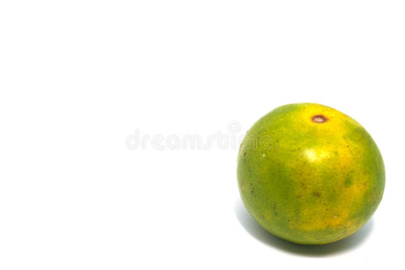 Orange stock photo. Image of nature, juice, tropical - 98004176