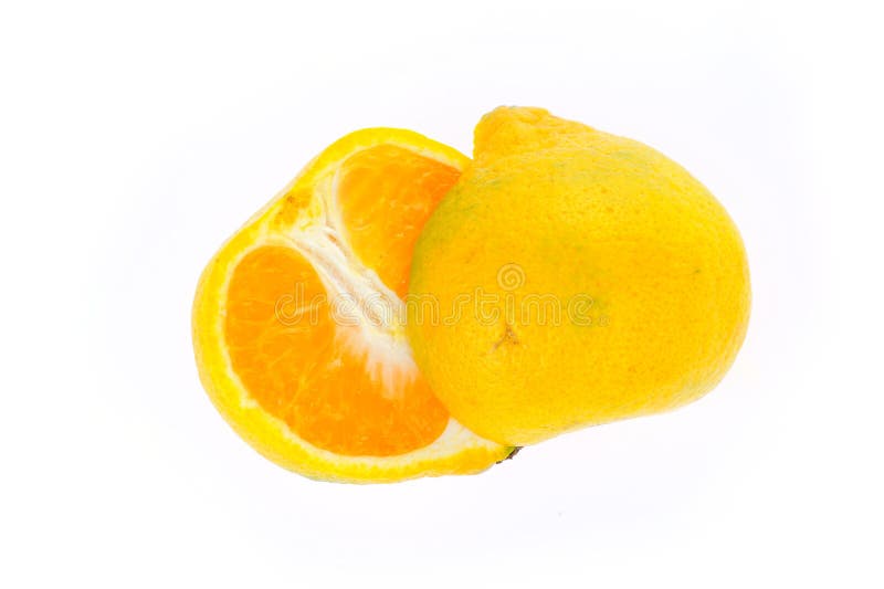 Orange on a White Background Stock Image - Image of object, circle ...