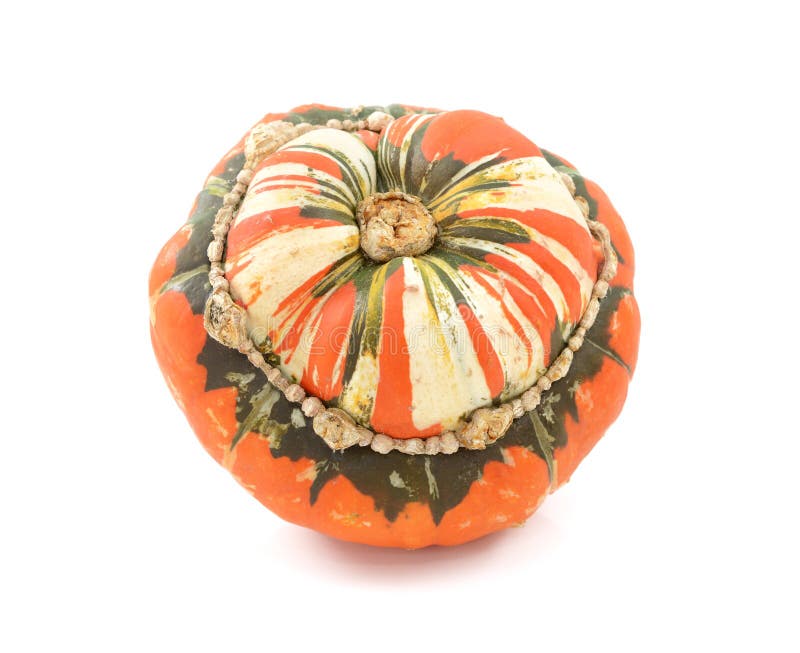 Turks Turban Squash stock image. Image of garden, gourd - 61037979