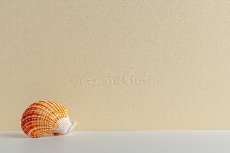 Orange and White Seashell on Beige Textured Background Stock ...