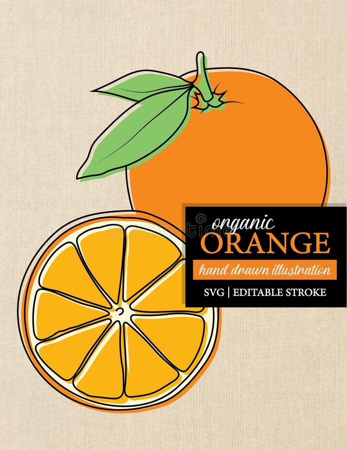 Orange Illustration stock vector. Illustration of pattern - 273627654