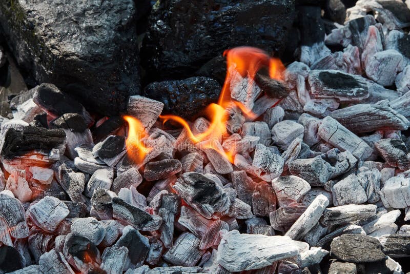 Orange Wild Fire on Black Coal Prepared for Barbecue Grill Stock Image ...