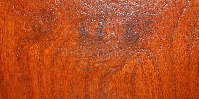 Orange Wood Texture stock image. Image of orange, tree - 10986739