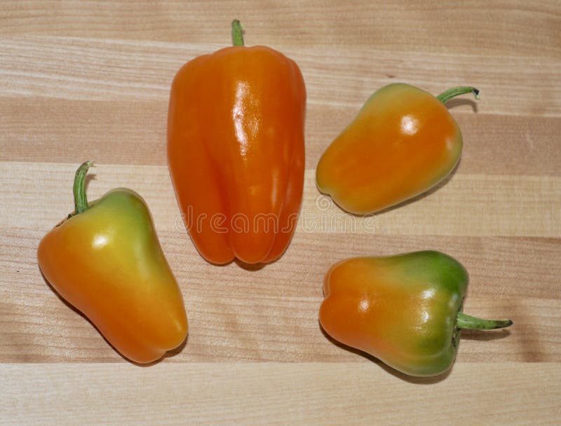 Multi color peppers. stock image. Image of chef, food - 103280441