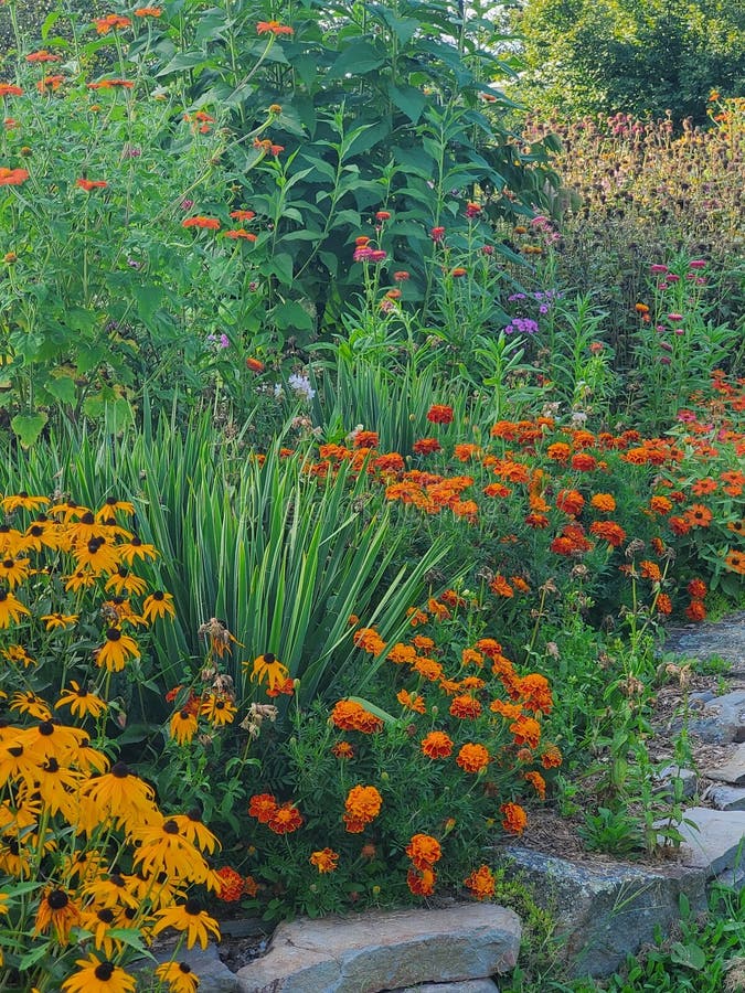 Orange, Yellow, Green, Pink, Grass, Bushes Stock Image - Image of ...