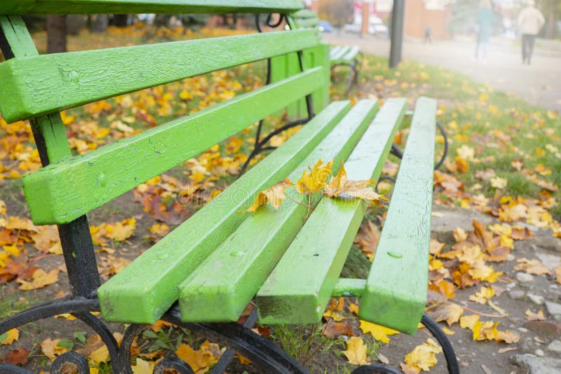 Orange and Yellow Leaves Lie on a Green Bench Stock Image - Image of ...