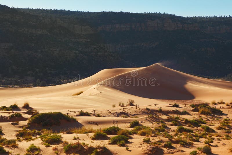 The Orange Yellow Sandy Dune Stock Image - Image of sandy, landscape ...