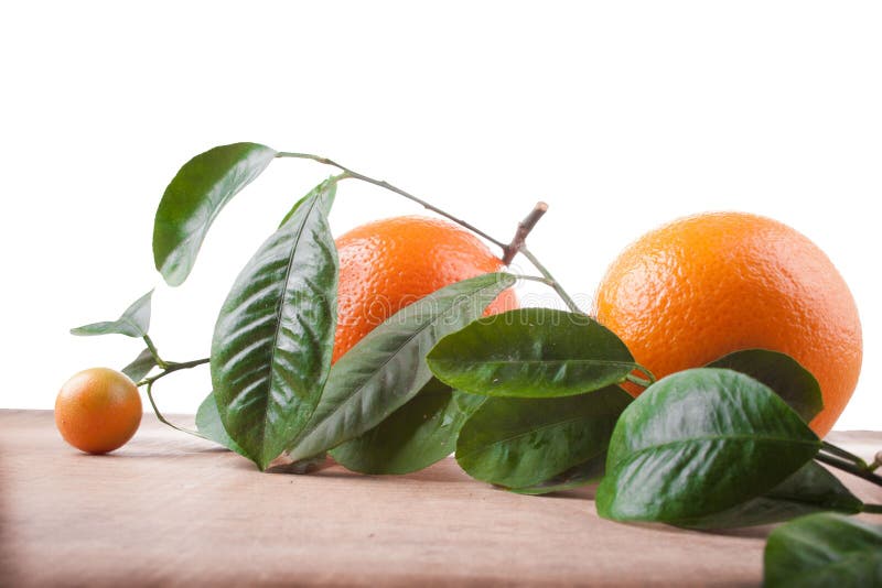 Orangen stockfoto. Bild von biologisch, frisch, masse - 56267950