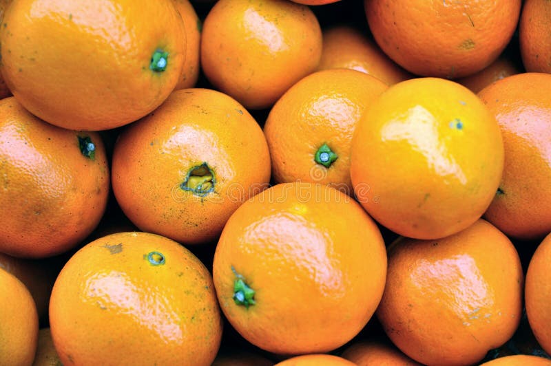 Oranges stock image. Image of oranges, kilo, regular - 13705971