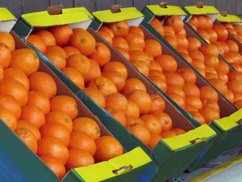 Oranges stock photo. Image of display, orange, vegetarian - 14100096
