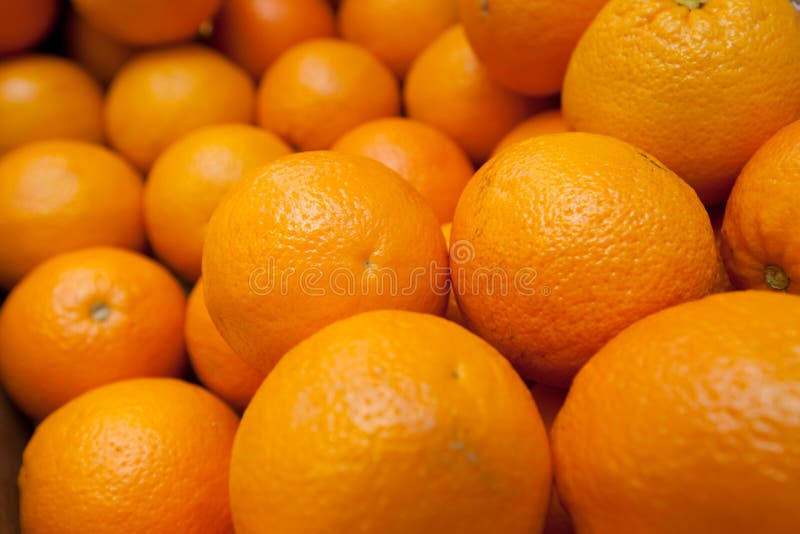 Oranges stock photo. Image of regular, beverage, food - 24293110