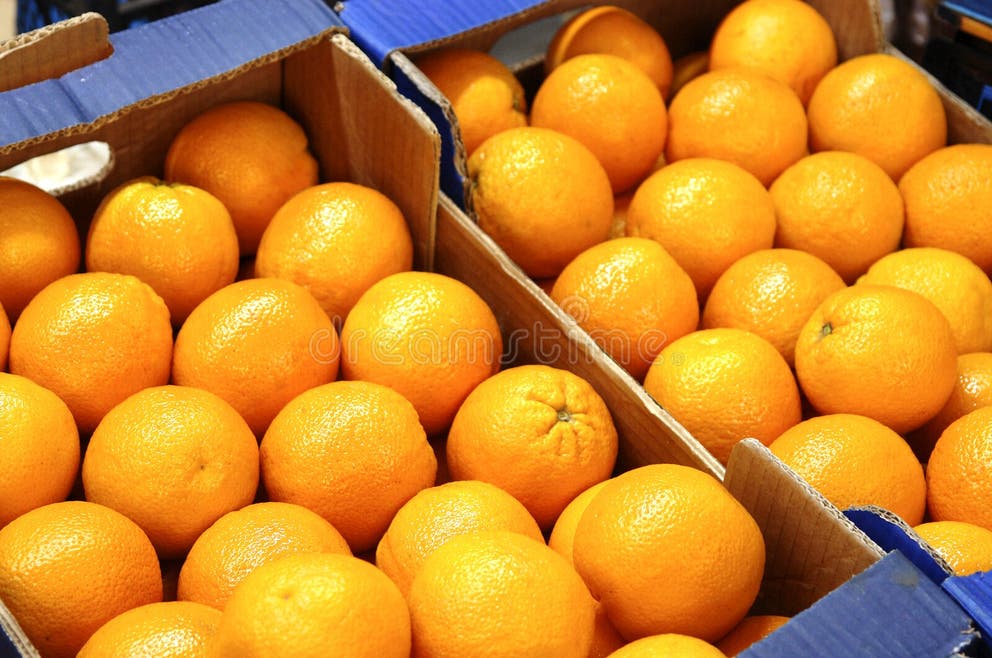 Oranges stock photo. Image of nutrition, salad, lifestyle - 2731876