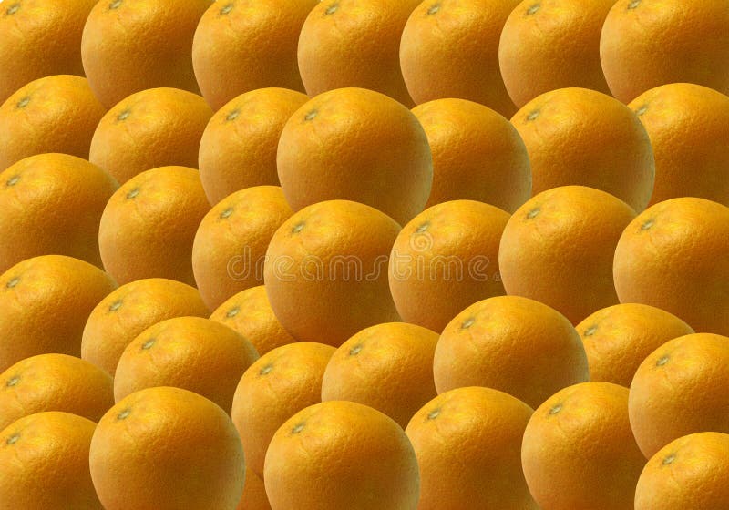 Oranges stock photo. Image of tasty, tropical, round, fruit - 461586