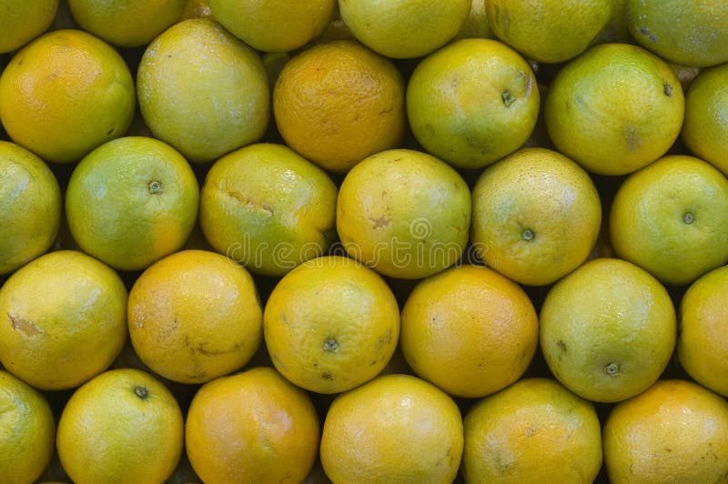 Oranges stock image. Image of oranges, diet, ripe, background - 8167275