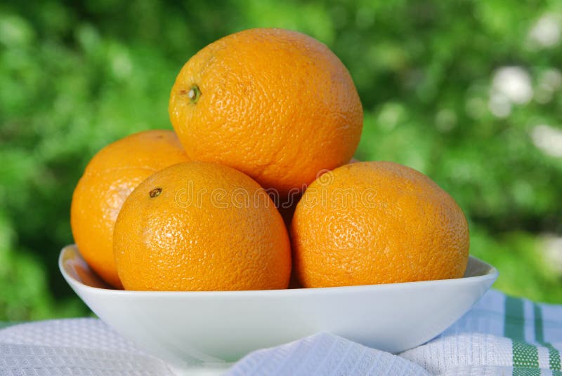 Oranges stock photo. Image of fresh, fruit, trees, healthy - 9914122