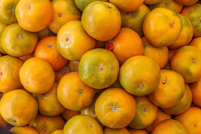 Oranges Backgrounds are Packed Inside Boxes To Prepare for Delivery To ...