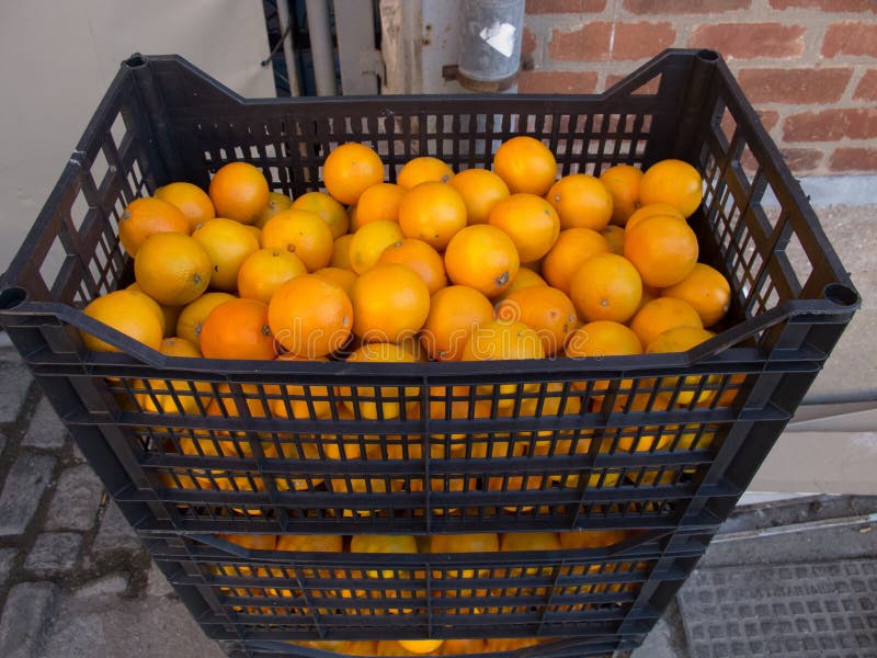 Oranges in a box stock photo. Image of diet, food, tropical - 35029214