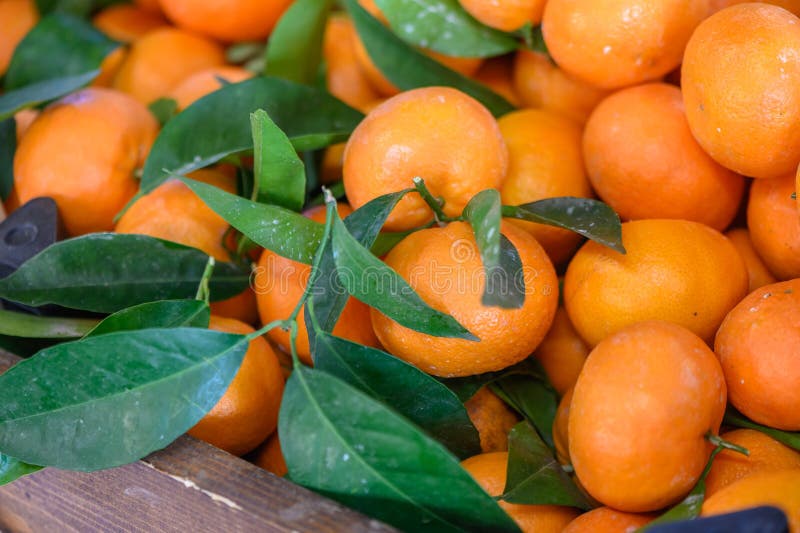 Oranges in a Box in a Store in Cyprus 1 Stock Image - Image of ...