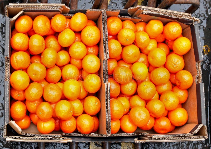 Oranges boxes stock image. Image of fresh, food, organic - 35540273