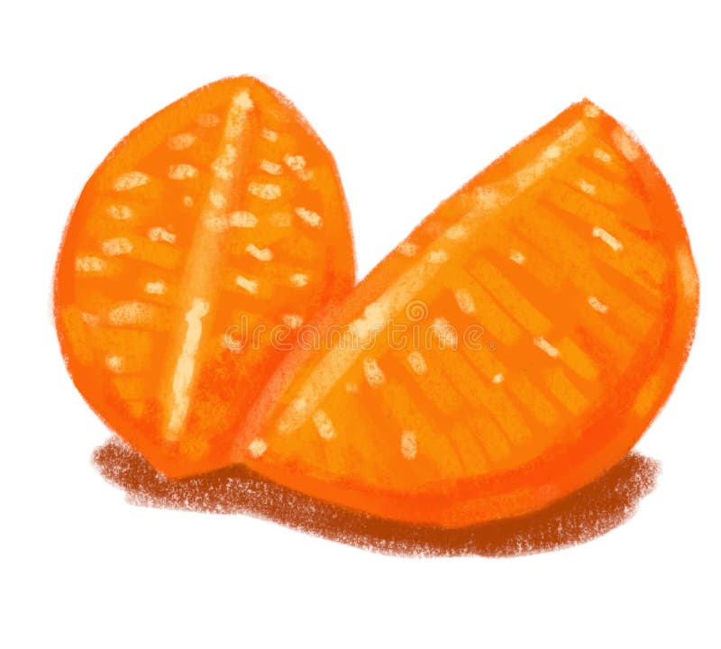 Oranges Chalk Drawing Sketch Illustration Citrus Fruit Stock Photo ...