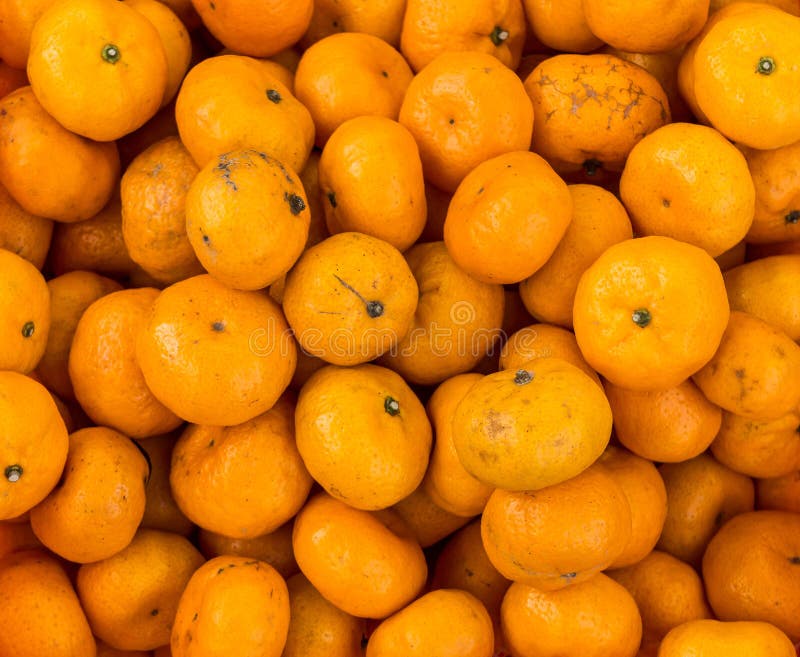 Oranges for Sale in Bulk at the Market Stock Photo - Image of selling ...
