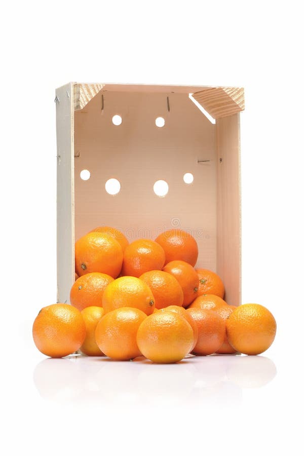 Oranges or clementines stock photo. Image of oranges, crate - 7317402