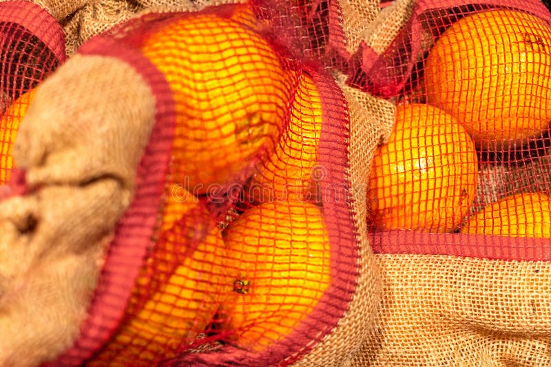 Oranges in Close-up in Eco-friendly Canvas Packaging. Taking Care of ...
