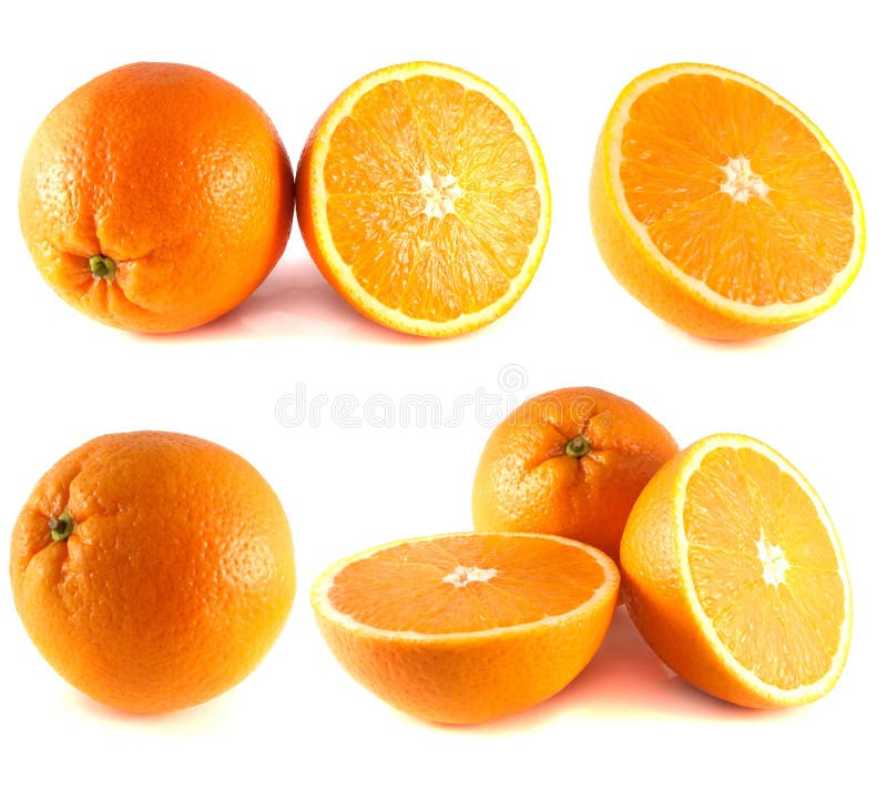 Oranges Collection on White Background. Stock Photo - Image of food ...
