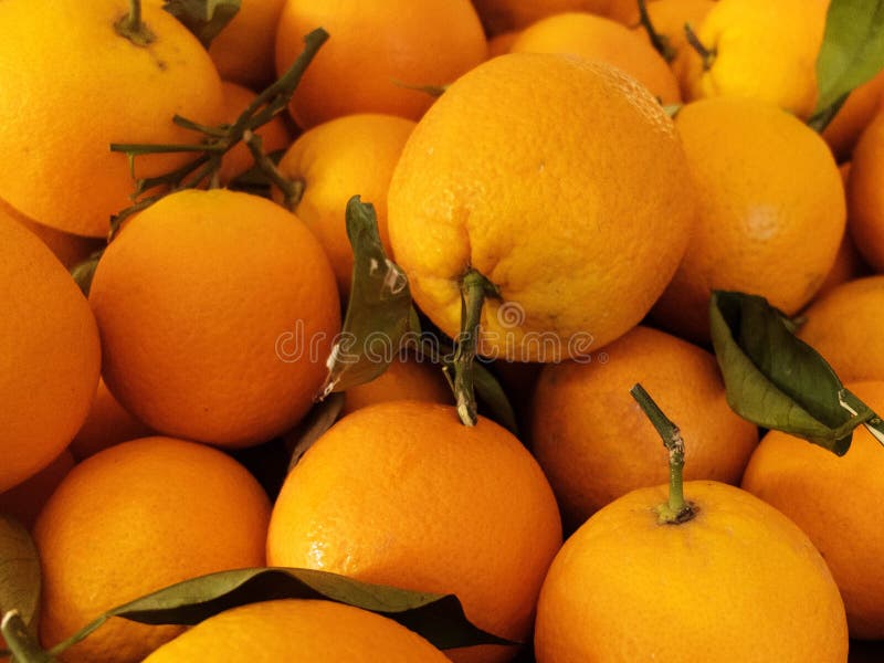 Oranges at the Counter on the Turkish Country Market Stock Photo ...
