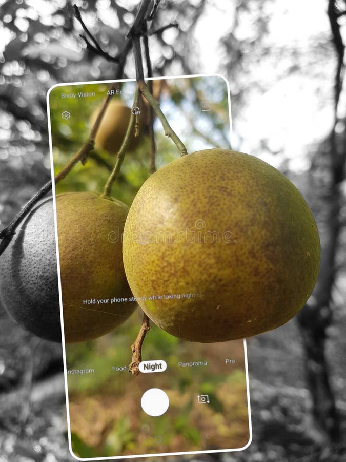 Sweetty Stock Photos - Free & Royalty-Free Stock Photos from Dreamstime