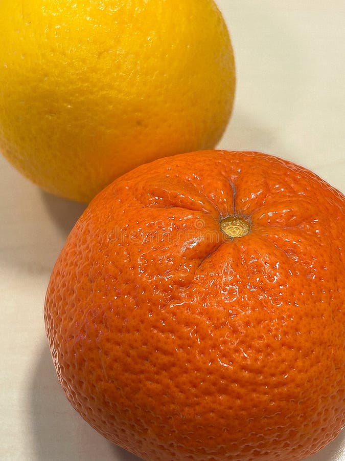 Oranges, Oranges of Different Shades, Citrus Fruits, Citrus Fruits ...