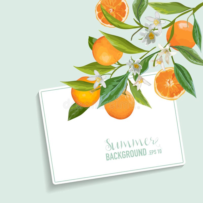 Oranges and Flowers Card. Fruit Background. Wedding Invitation Stock ...