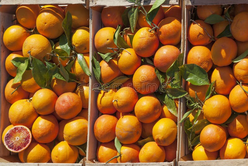 Oranges. stock image. Image of color, ripe, citrus, organic - 39665343