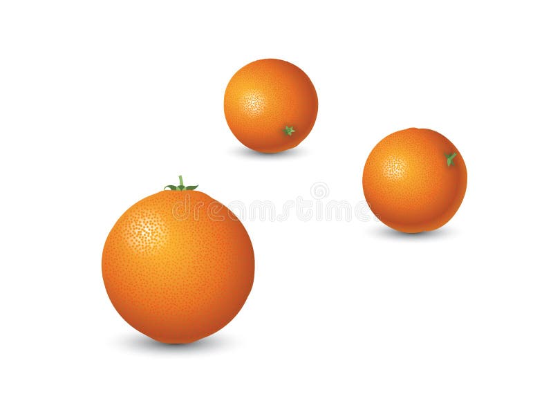 Three Oranges Stock Illustrations – 117 Three Oranges Stock ...