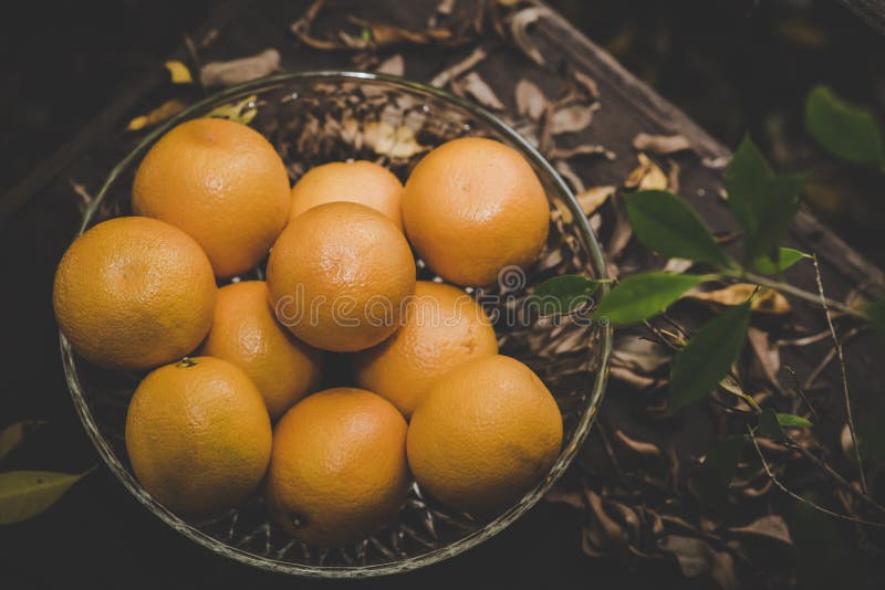 Oranges Group Freshly Picked Stock Image - Image of health, orange ...