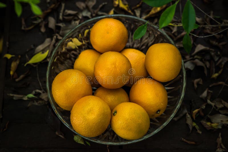 Oranges Group Freshly Picked Stock Image - Image of garden, farming ...