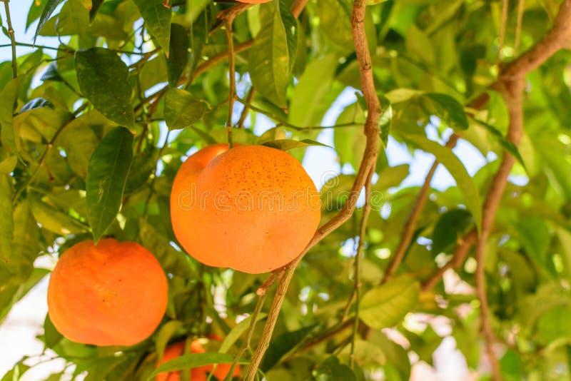 Typical Locat Stock Photos - Free & Royalty-Free Stock Photos from ...