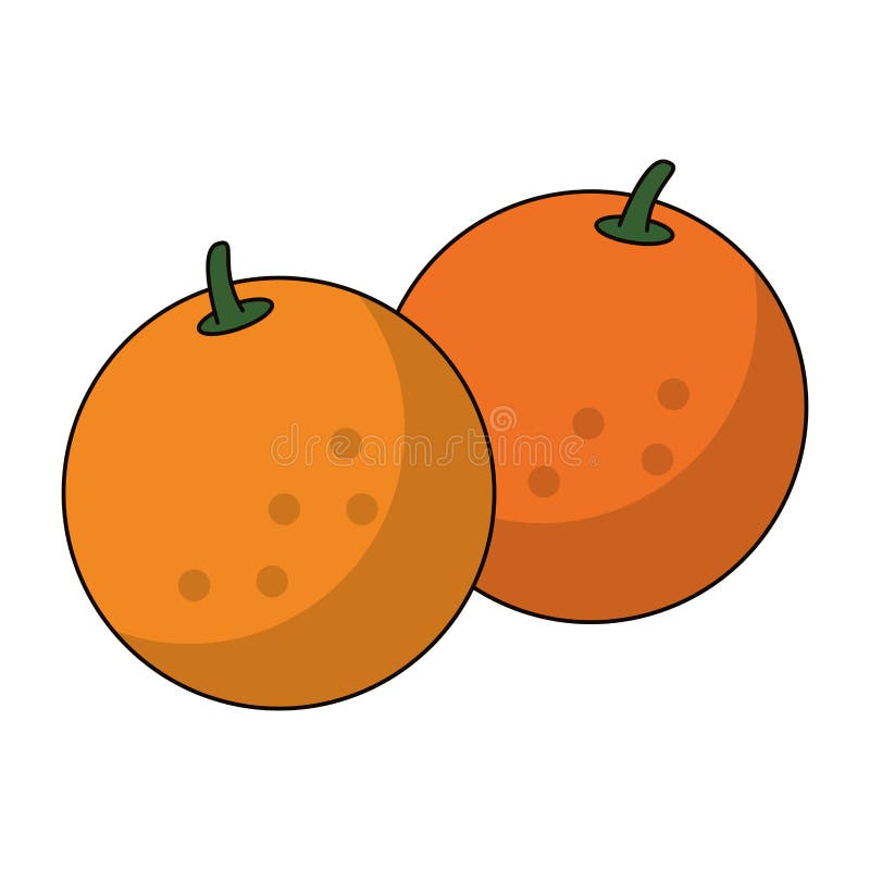 Oranges icon cartoon stock vector. Illustration of health - 146273423