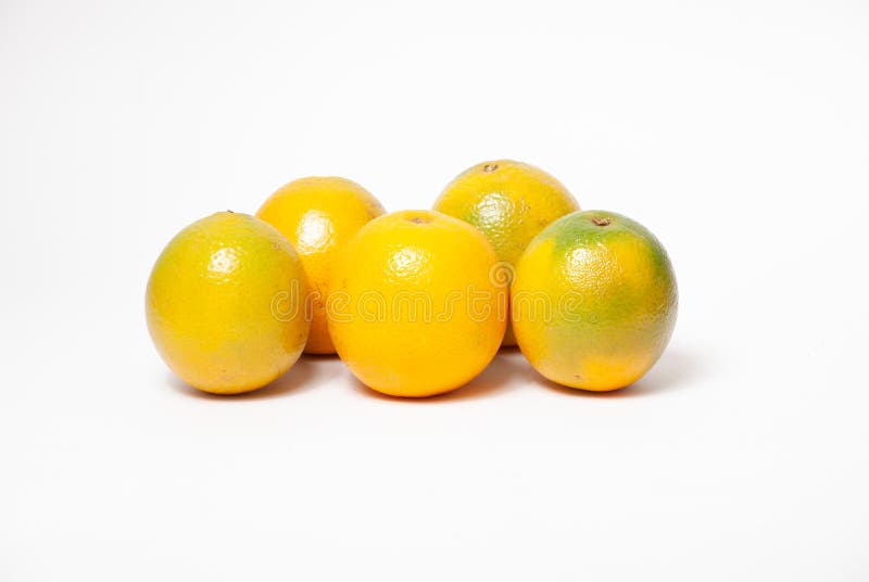 5 Oranges on an Isolated White Background Stock Image - Image of ...
