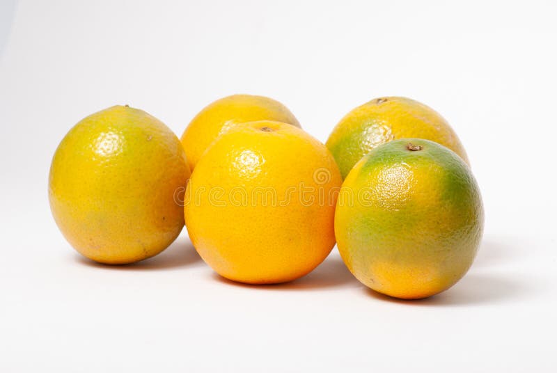 5 Oranges on an Isolated White Background Stock Photo - Image of sweet ...