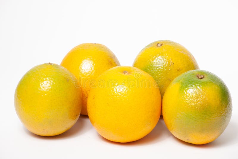 5 Oranges on an Isolated White Background Stock Photo - Image of crop ...