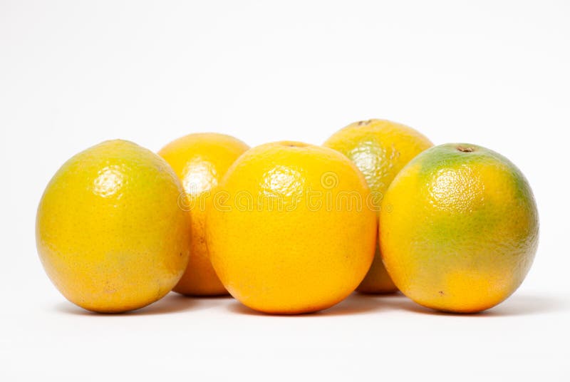 5 Oranges on an Isolated White Background Stock Photo - Image of crop ...