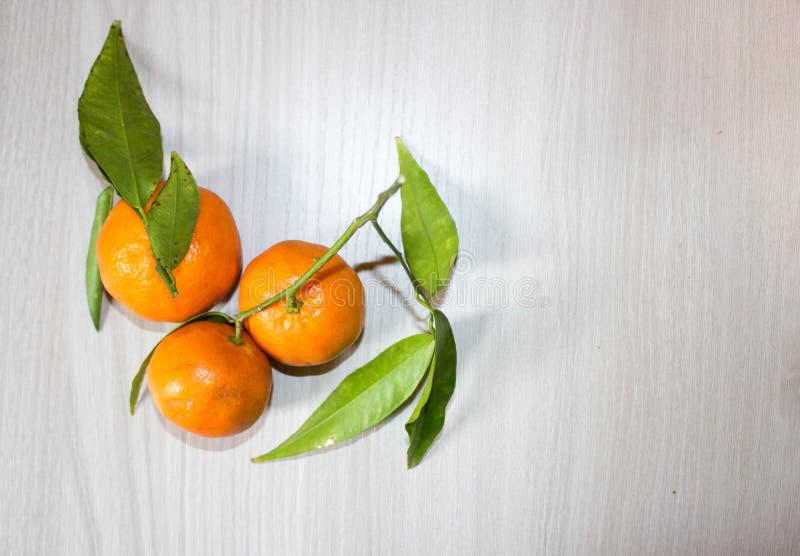 Oranges and Mandarin Inside of Wooden Box Stock Photo - Image of ...