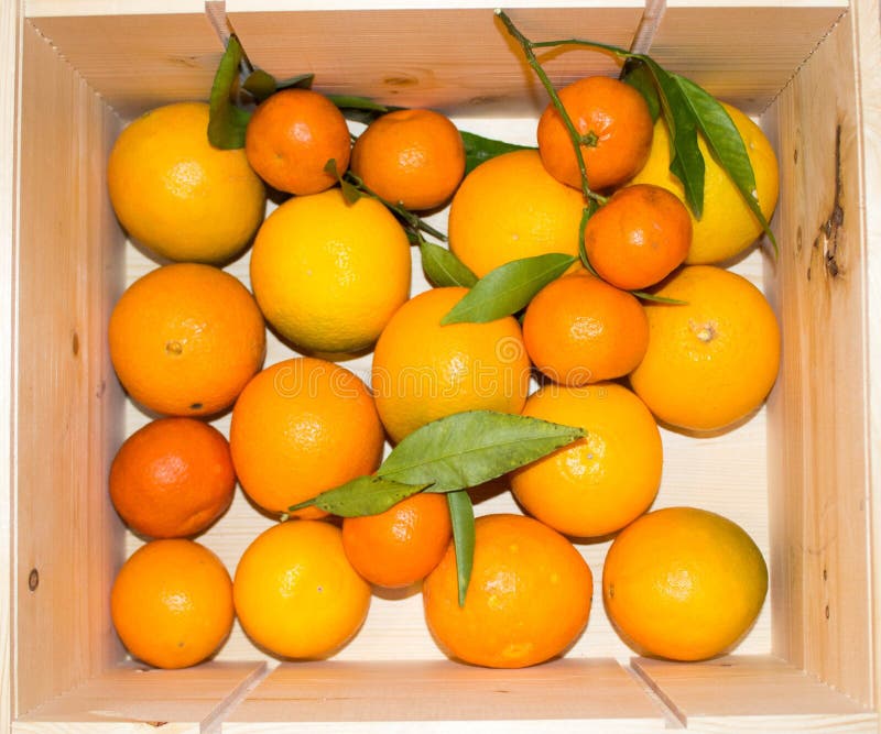 Oranges and Mandarin Inside of Wooden Box Stock Image - Image of ...