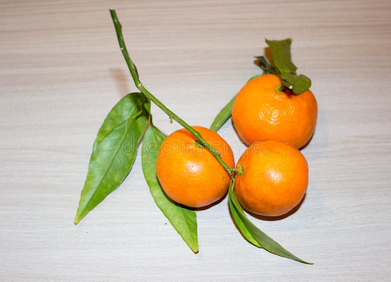 Oranges and Mandarin Inside of Wooden Box Stock Photo - Image of fruit ...