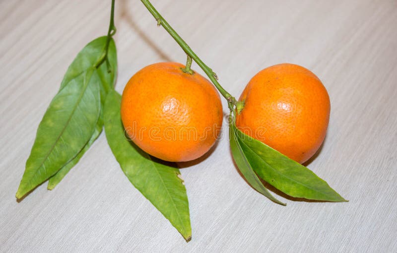 Oranges and Mandarin Inside of Wooden Box Stock Photo - Image of leaves ...